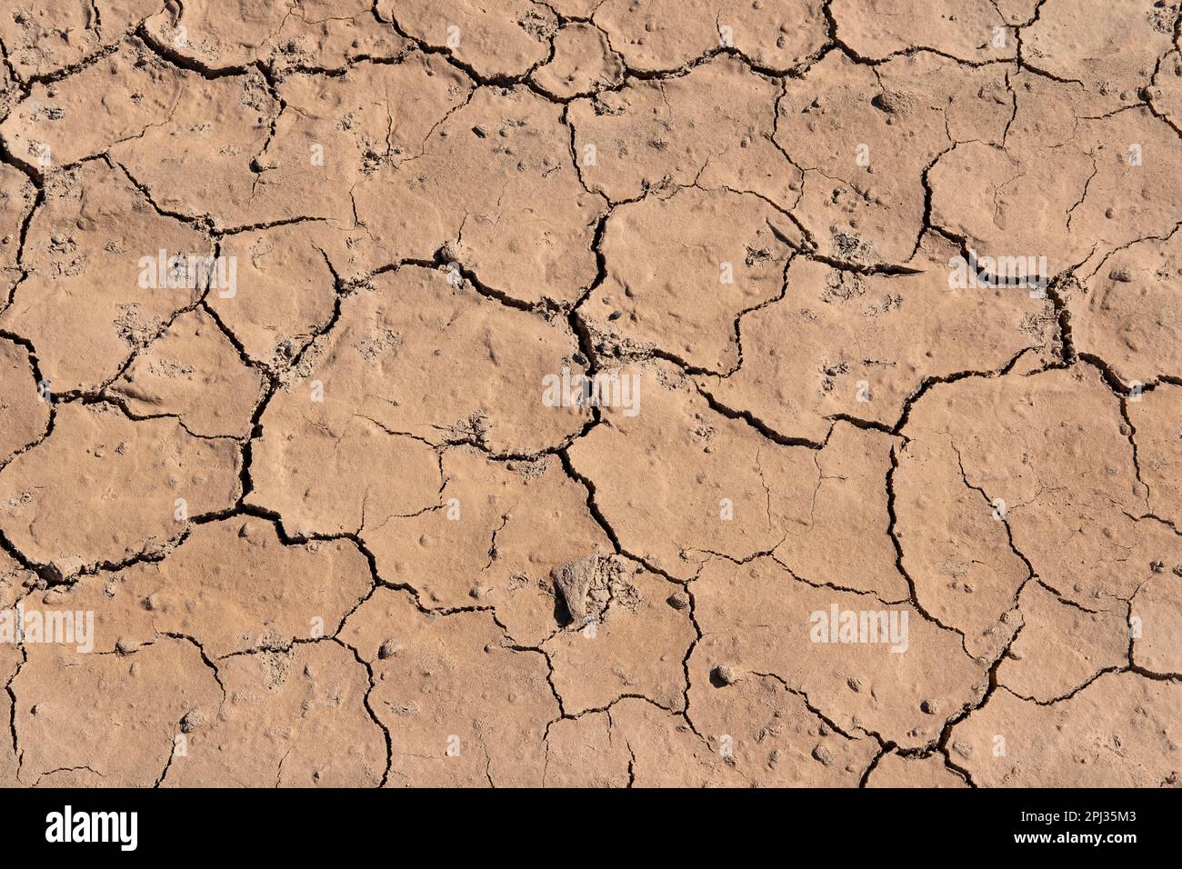 Cracked dry land as a result of drought caused by human environmental ...