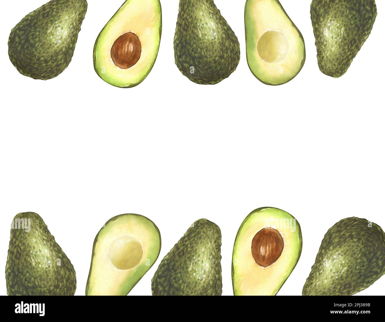 Watercolor frame, ripe avocado and halves avocado. Hand-drawn ...
