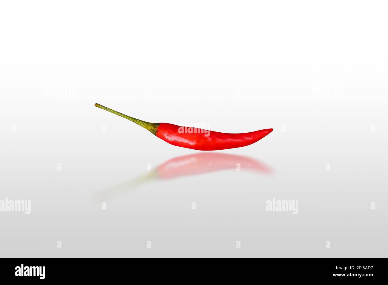 Red chilli Chinda or Jinda isolated on white background with reflection ...