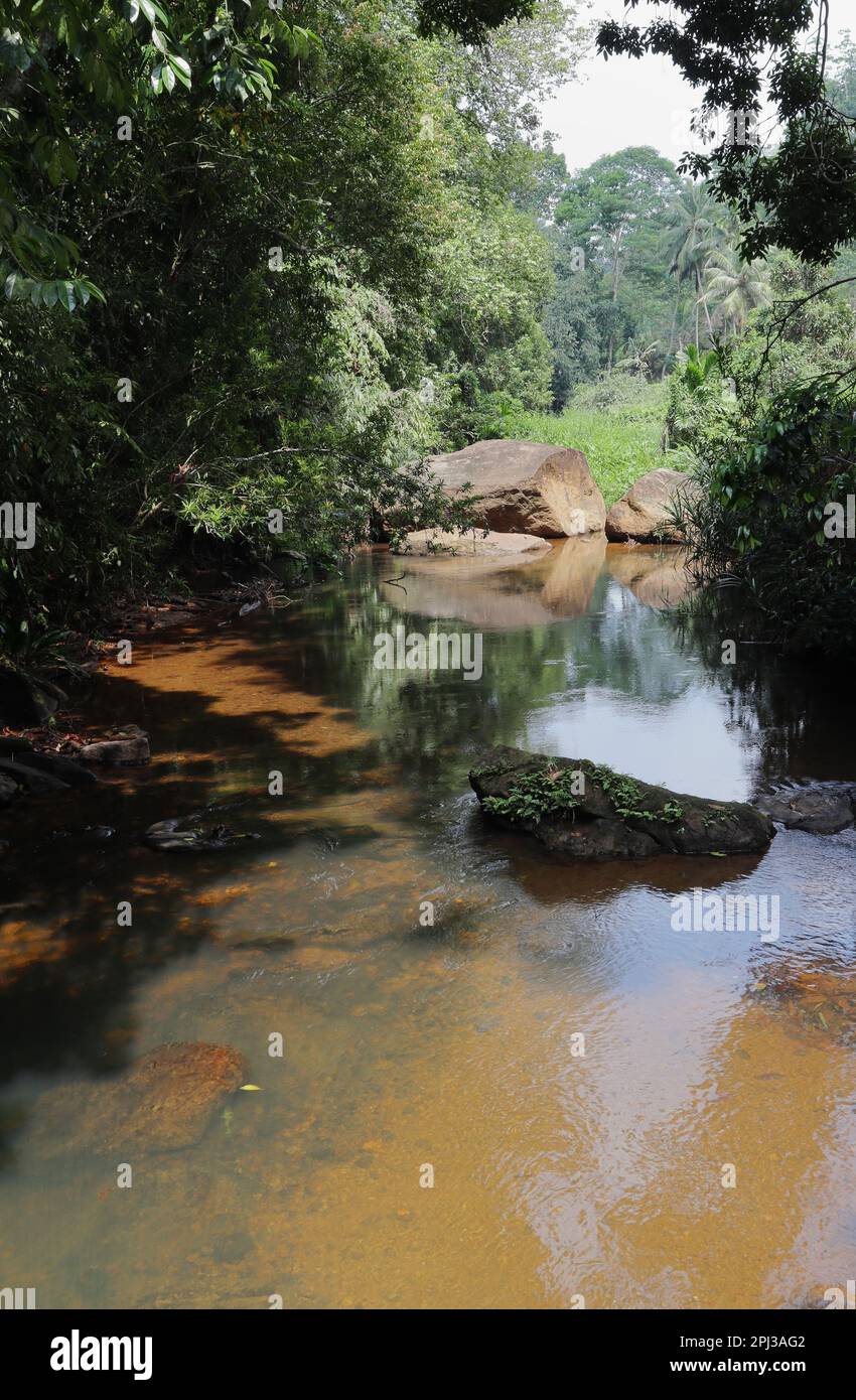 View of a small tributary river in Sri Lanka with large rocks in the ...