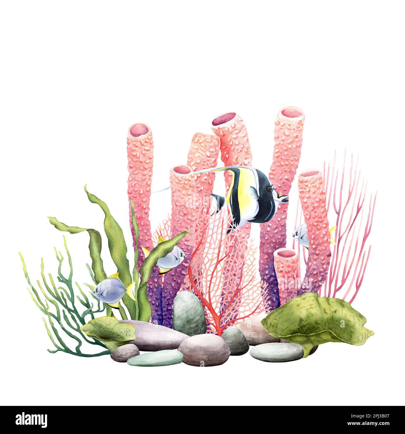 Underwater composition with coral reef plants and fishes. Watercolor ...