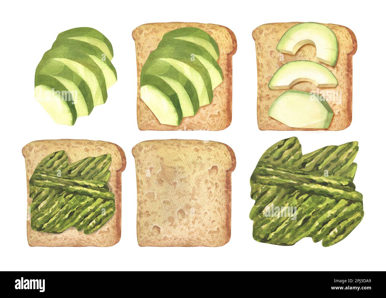 Watercolor avocado toast on whole grain sandwich bread. Top view. Hand ...