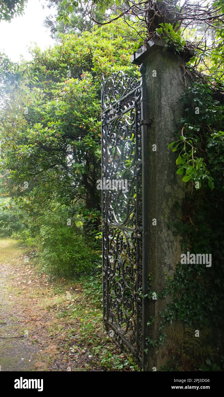 Open iron gate opening onto forest pathway, North Wales Stock Photo - Alamy