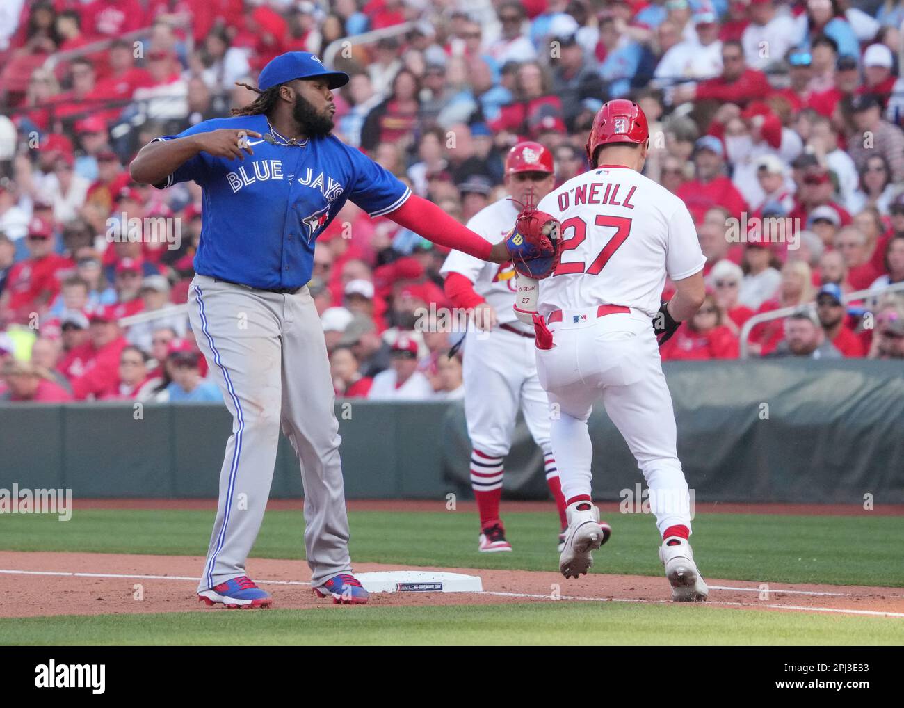 Toronto Blue Jays Vladimir Guerrero Jr, tags out St. Louis Cardinals ...