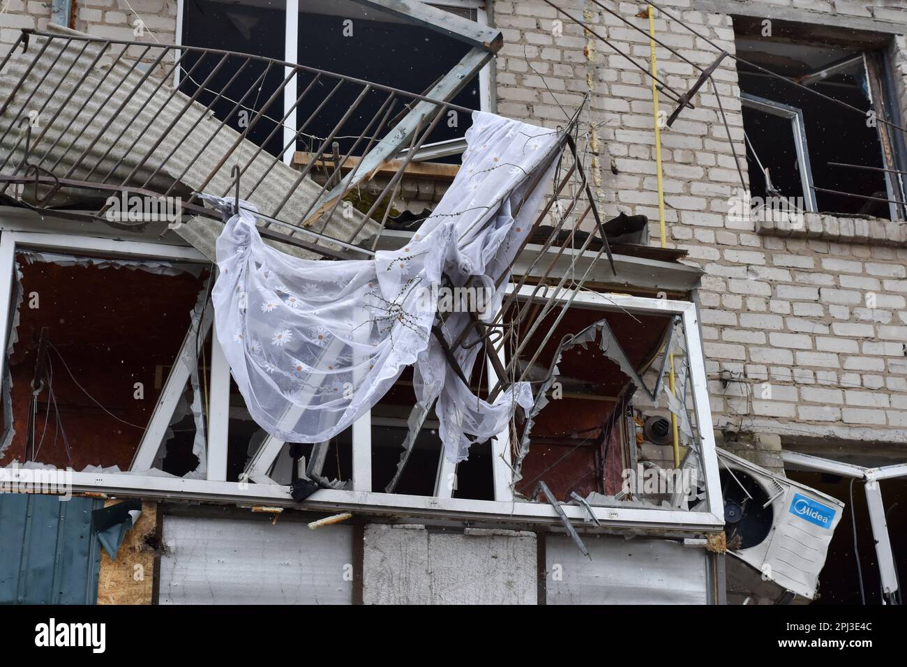 Daisy invasion hi-res stock photography and images - Alamy