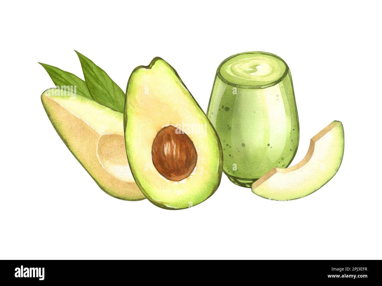 Watercolor avocado smoothie avocado in a glass jar with ingredients and ...