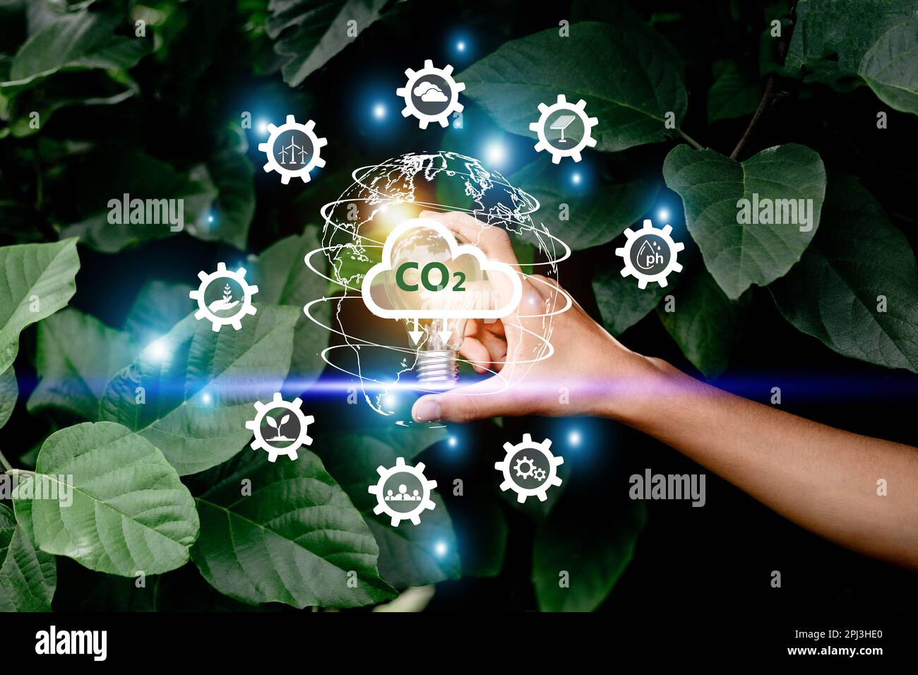 Co2 Carbon Dioxide Emission Reduction Concept Sustainable Environmental Development Stock