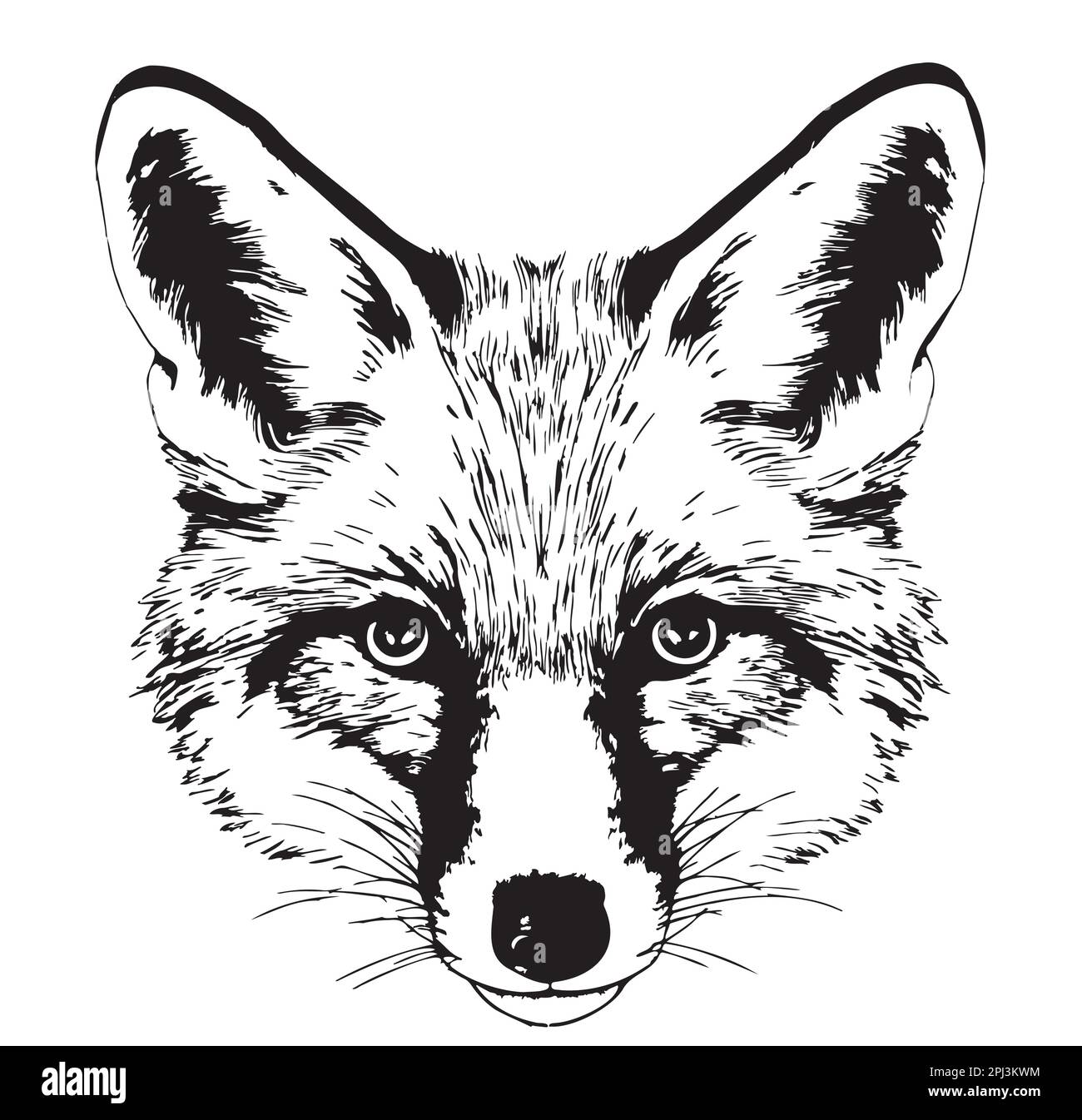 Fox head sketch hand drawn in doodle style illustration Stock Vector ...