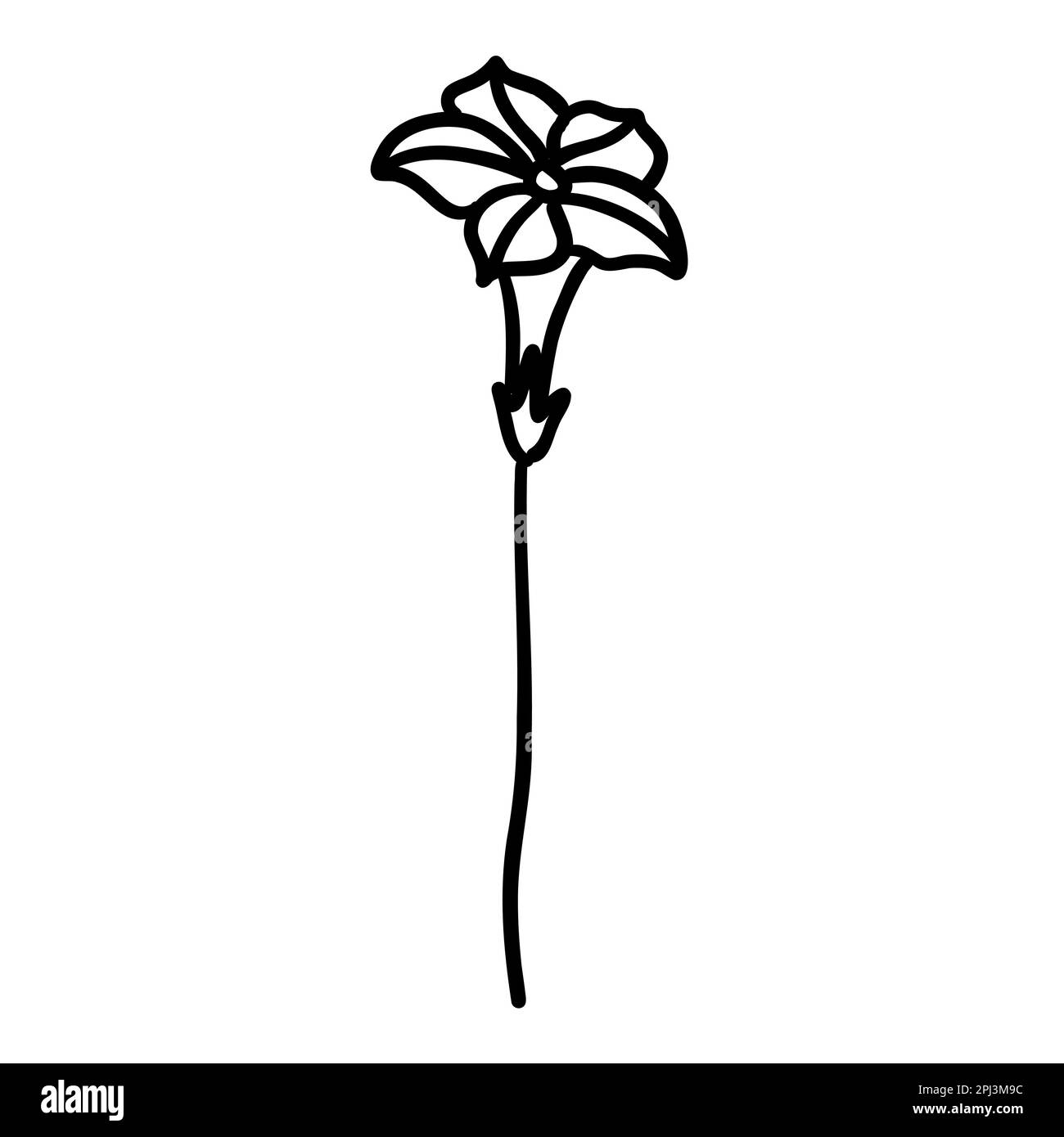 Flower in outline doodle flat style for coloring. Simple floral element ...