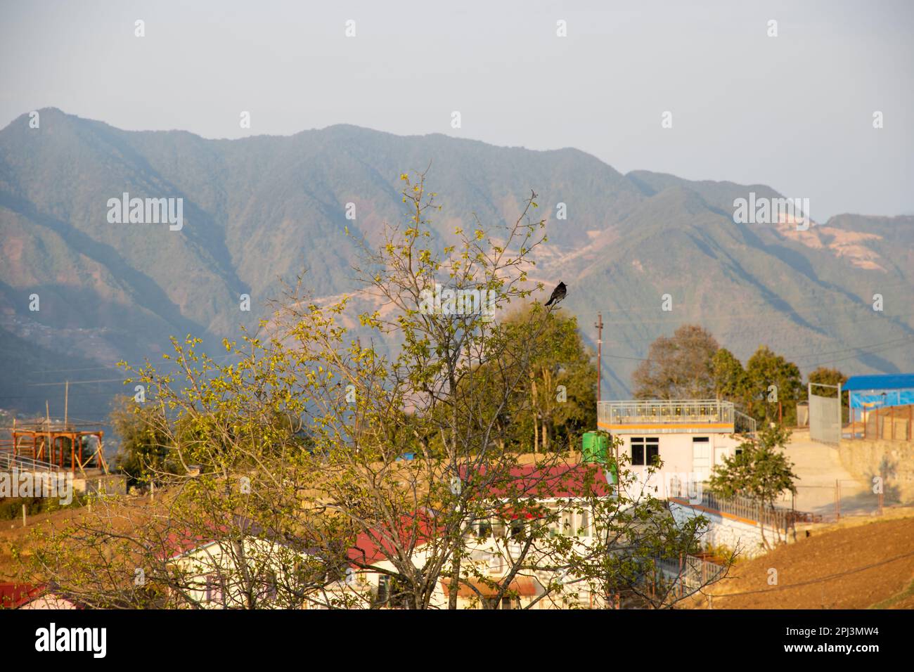 Beautiful Kathmandu Landscape with Forest, Rhododendron, seen from ...