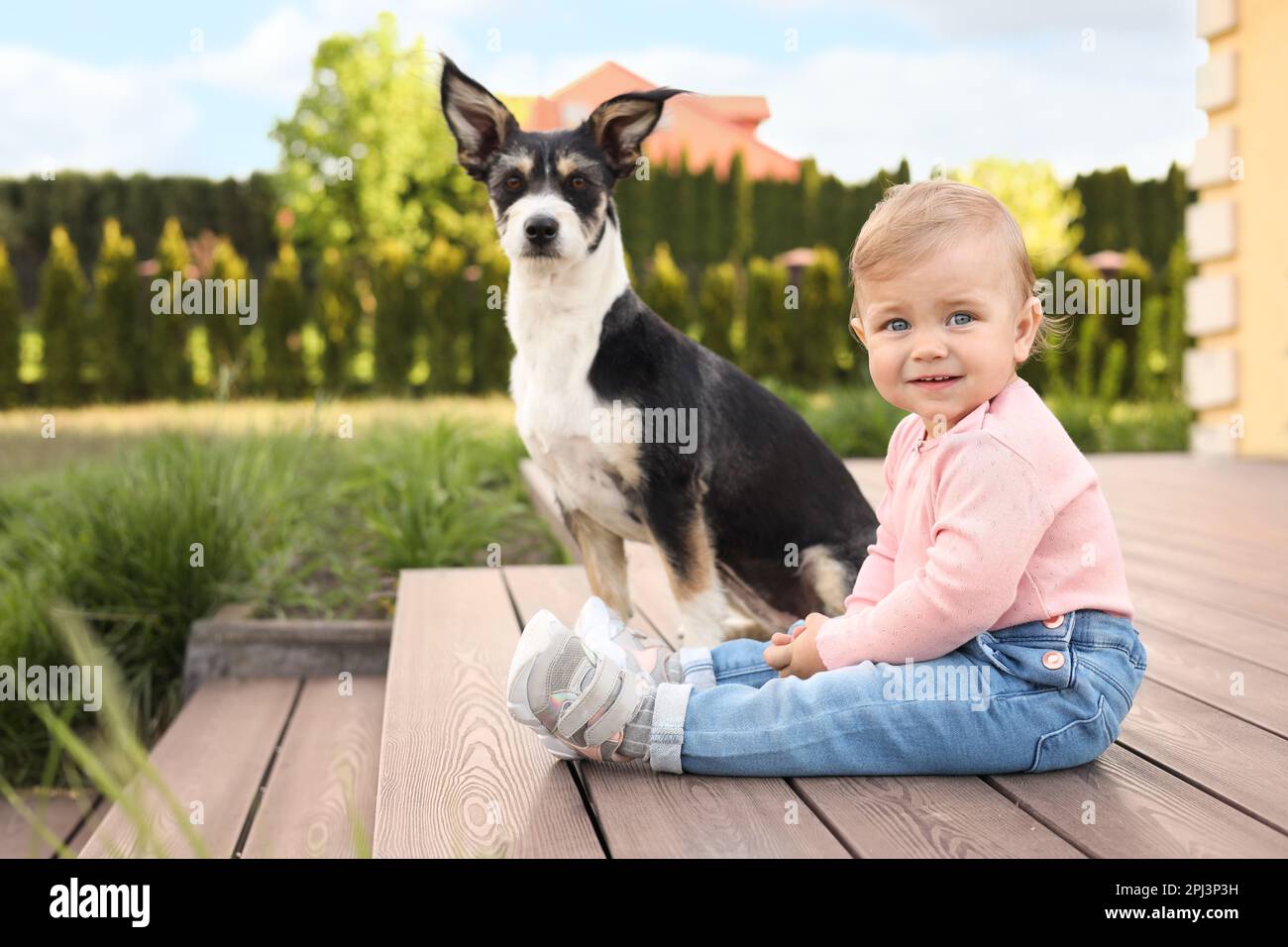 Adorable baby and furry little dog on wooden porch outdoors Stock Photo ...