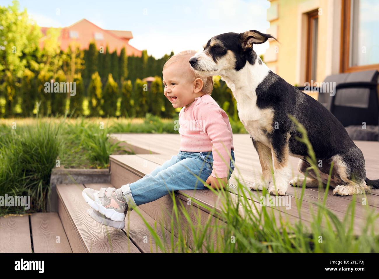 Adorable baby and furry little dog on wooden porch outdoors Stock Photo ...