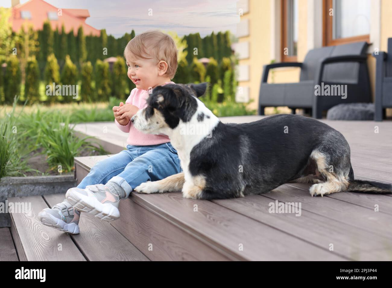 Adorable baby and furry little dog on wooden porch outdoors Stock Photo ...