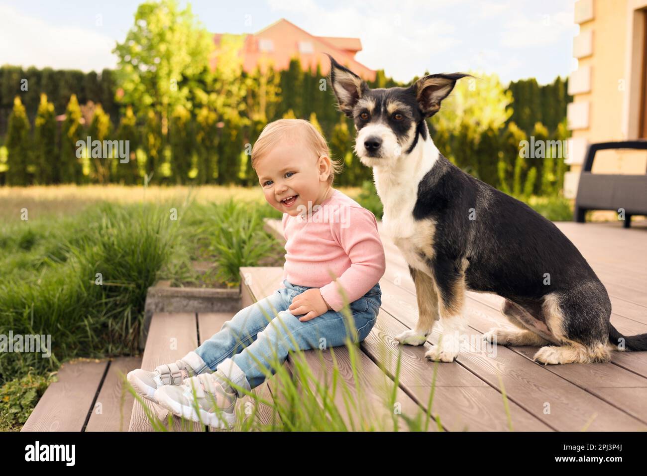 Adorable baby and furry little dog on wooden porch outdoors Stock Photo ...