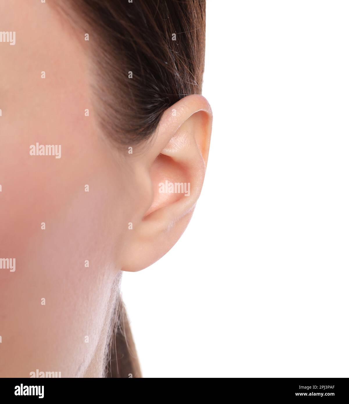 Woman on white background, closeup view of ear Stock Photo - Alamy