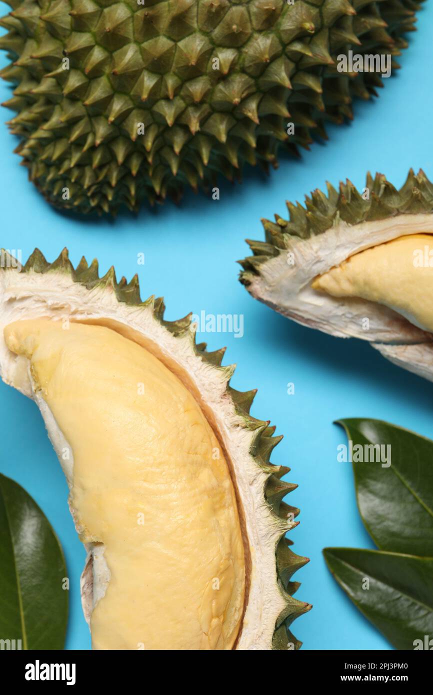 Fresh ripe durians and leaves on light blue background, flat lay Stock ...