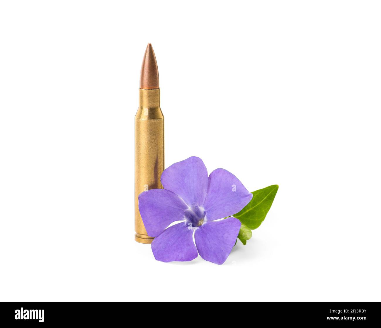 Bullet and beautiful flower on white background. Peace instead of war ...