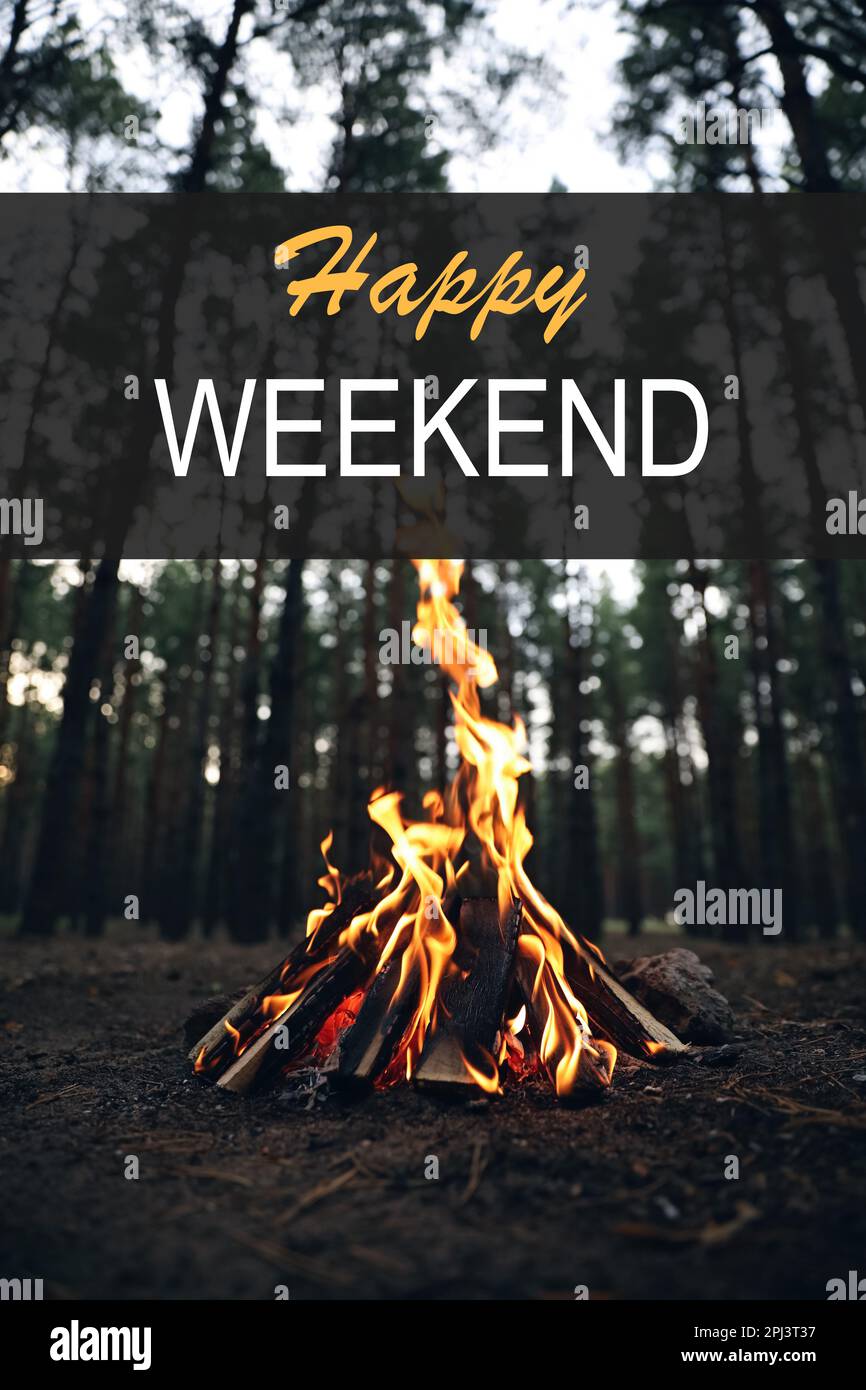 Happy Weekend. Beautiful bonfire with burning firewood in forest Stock ...