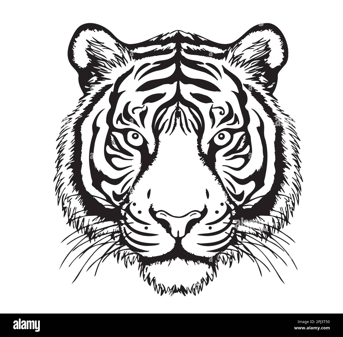 Tiger face sketch hand drawn in cartoon style illustration Stock Vector ...