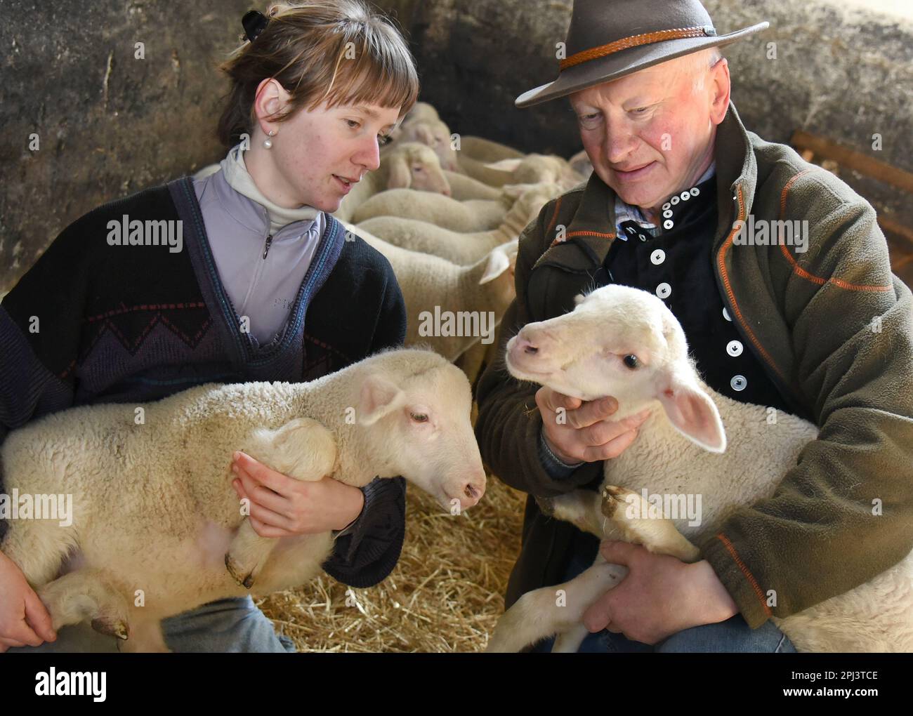 28 March 2023, Saxony, Polenz/Machern: Several-week-old lambs are held in the arms of master ...