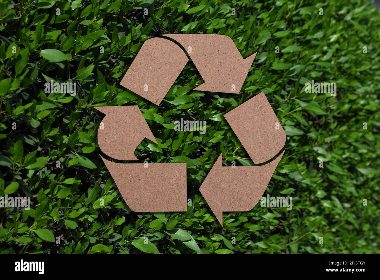 Recycling symbol cut out of kraft paper and fresh green leaves on ...