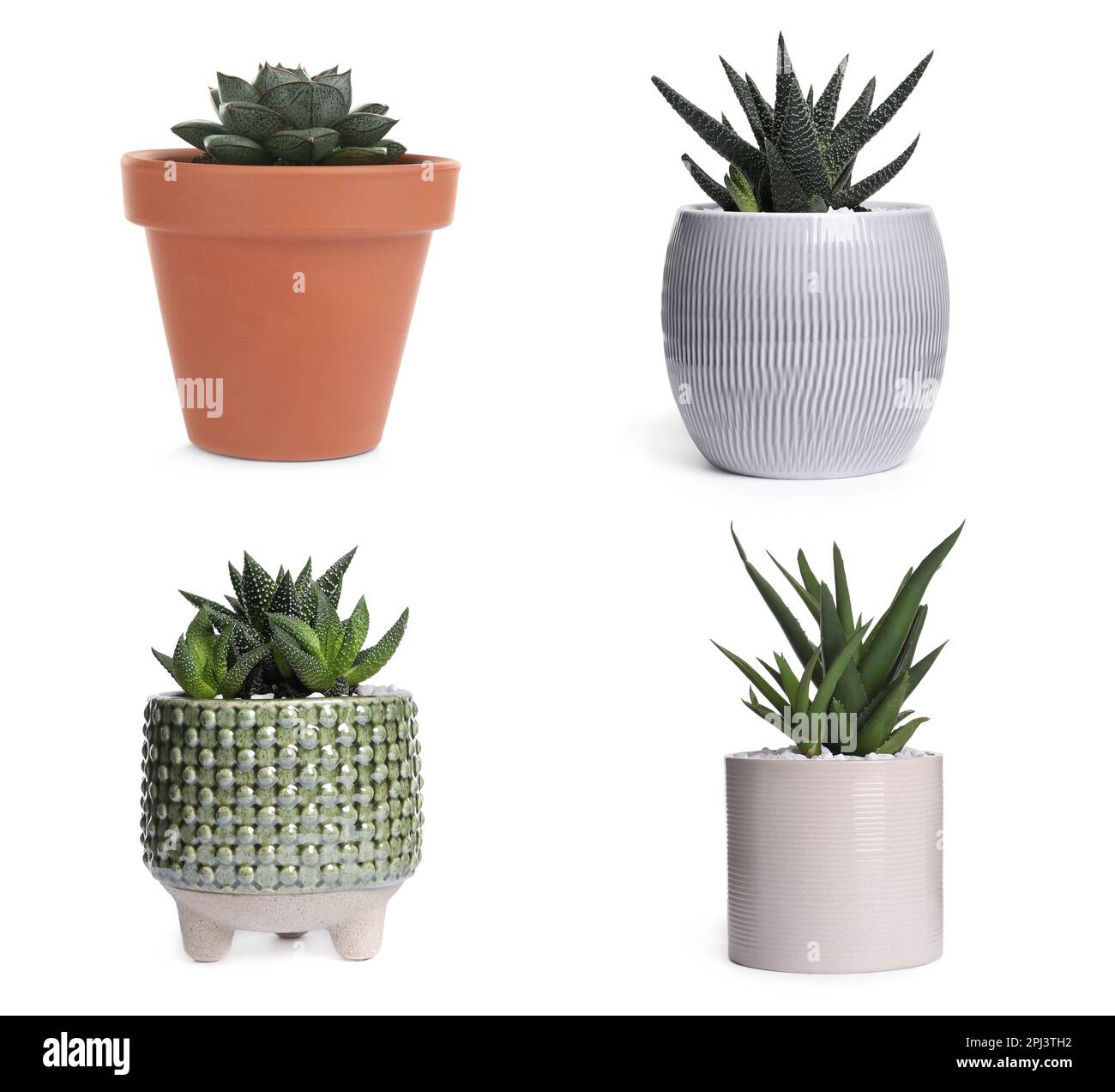 Set different tropical house Cut Out Stock Images & Pictures - Alamy