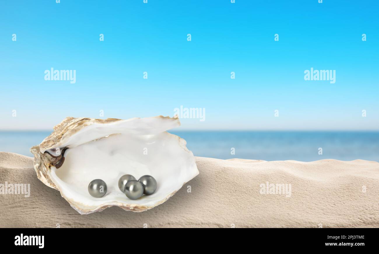 Open oyster shell with black pearls on sandy beach near sea. Space for ...