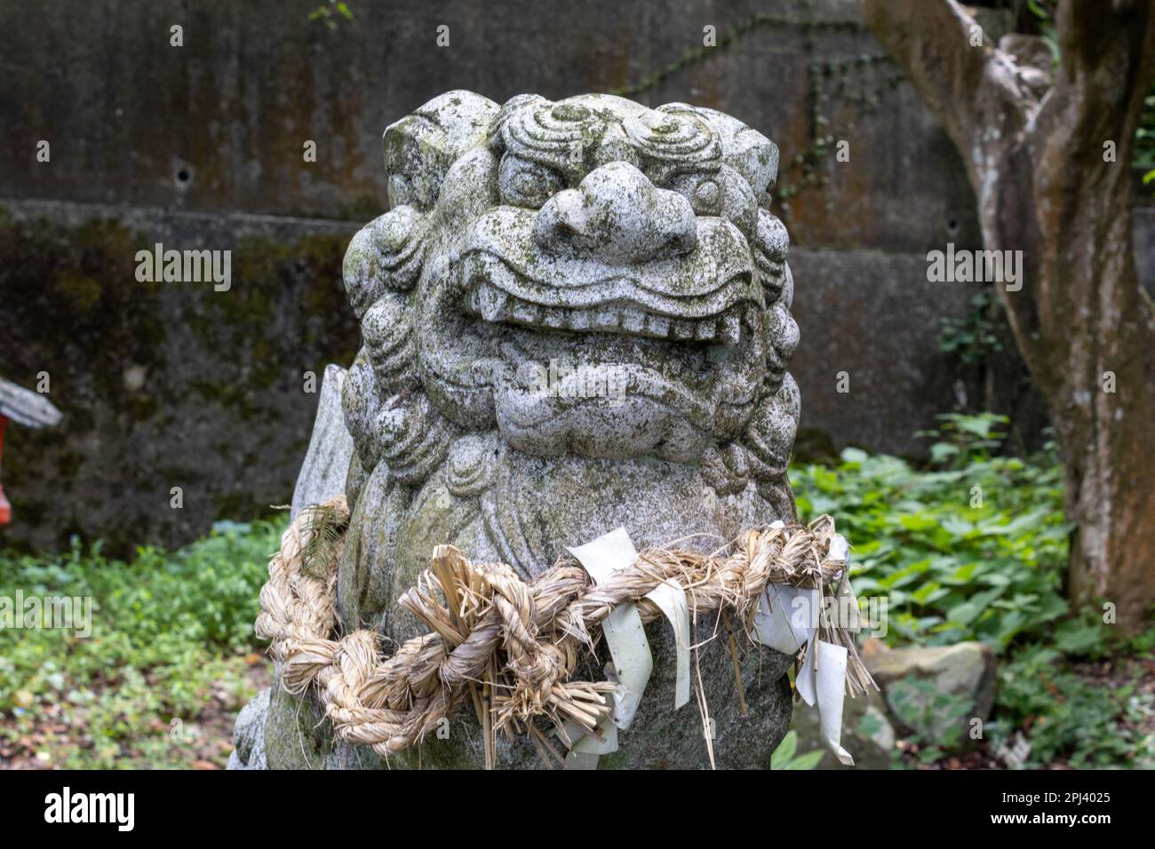 Komainu, or lion-dog, statue at imohoritougorou jinja, Kanazawa, Japan ...