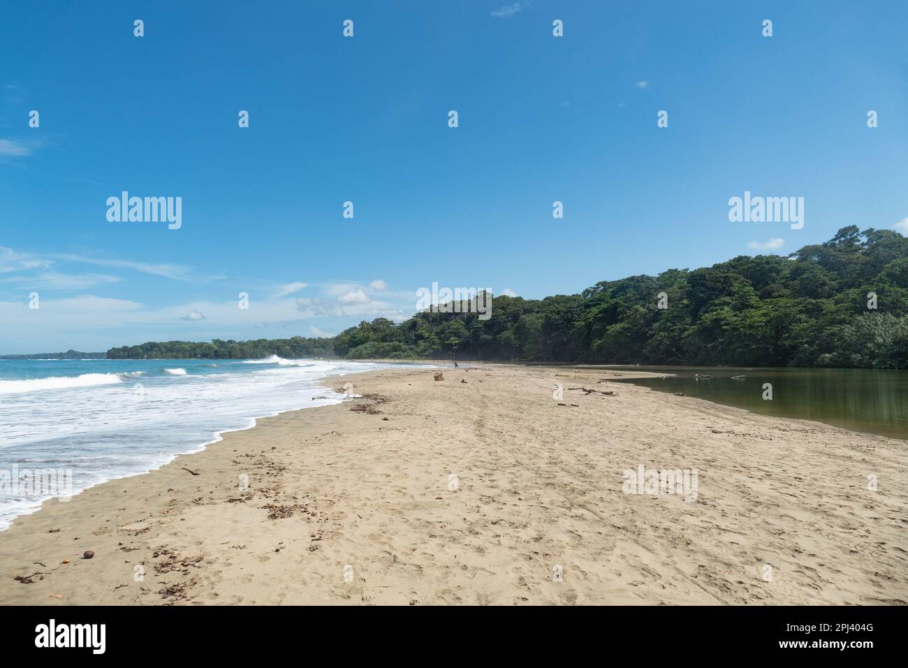 scenic beach of Cocles on the Caribbean side of Costa Rica, Puerto ...