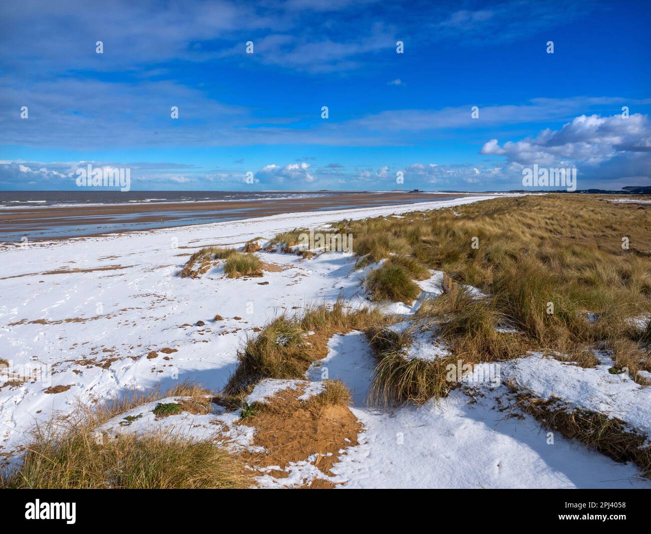 Rspb titchwell nature reserve norfolk hi-res stock photography and ...