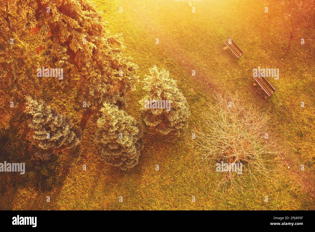 Park in the town centre photographed from the balcony.Bird eye view ...