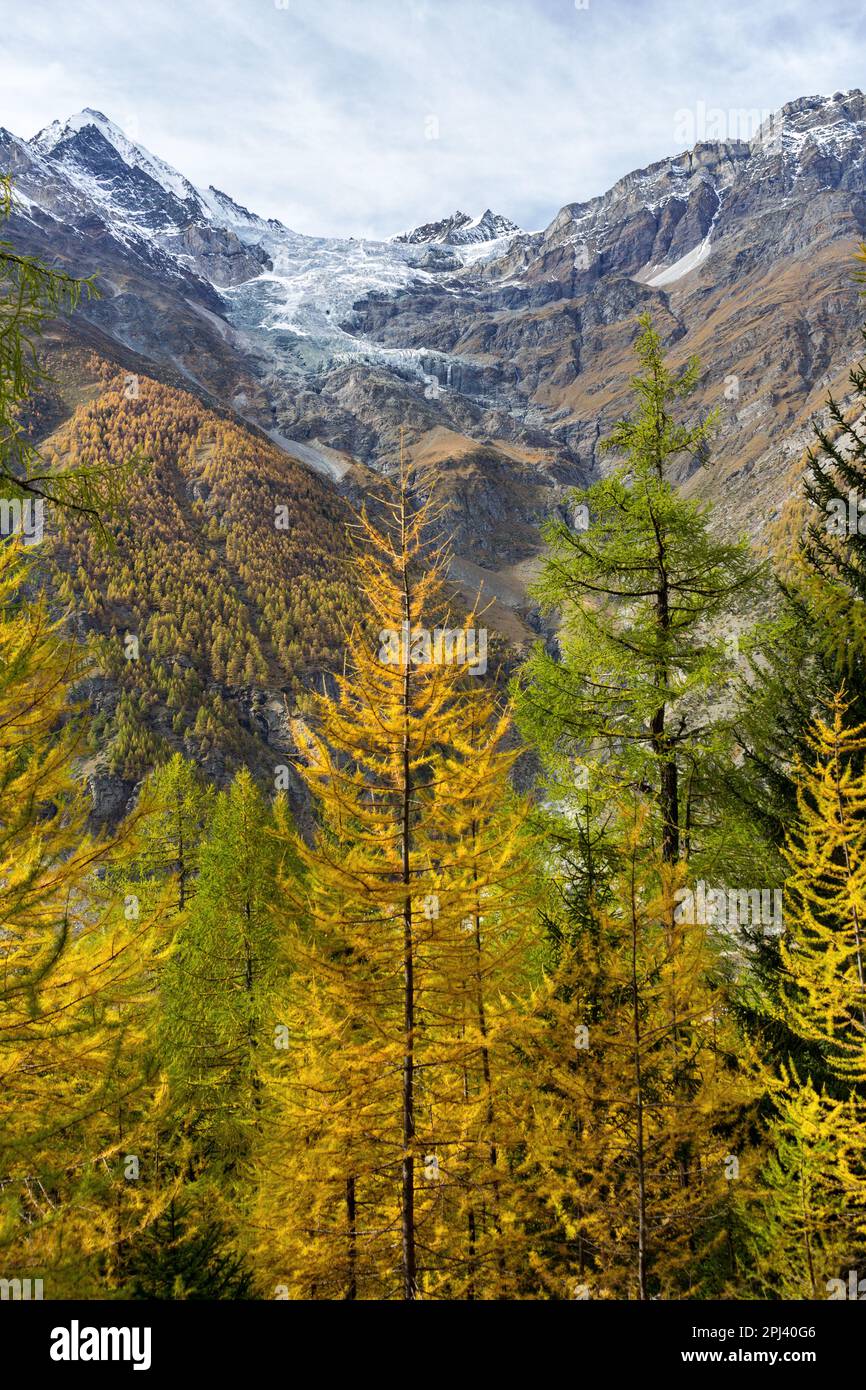 Schmalgletscher hi-res stock photography and images - Alamy