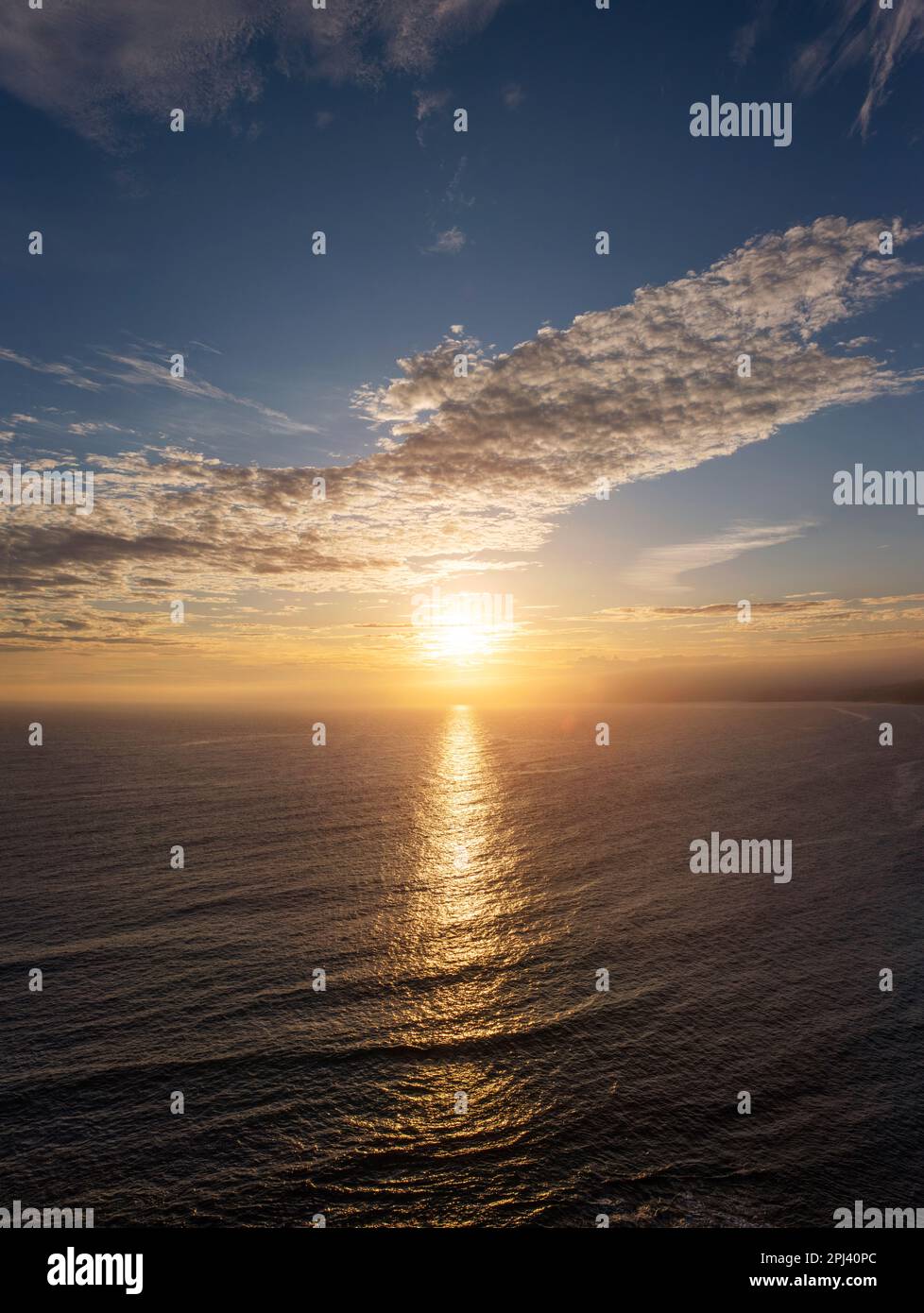 Lizard peninsula marine life hi-res stock photography and images - Alamy