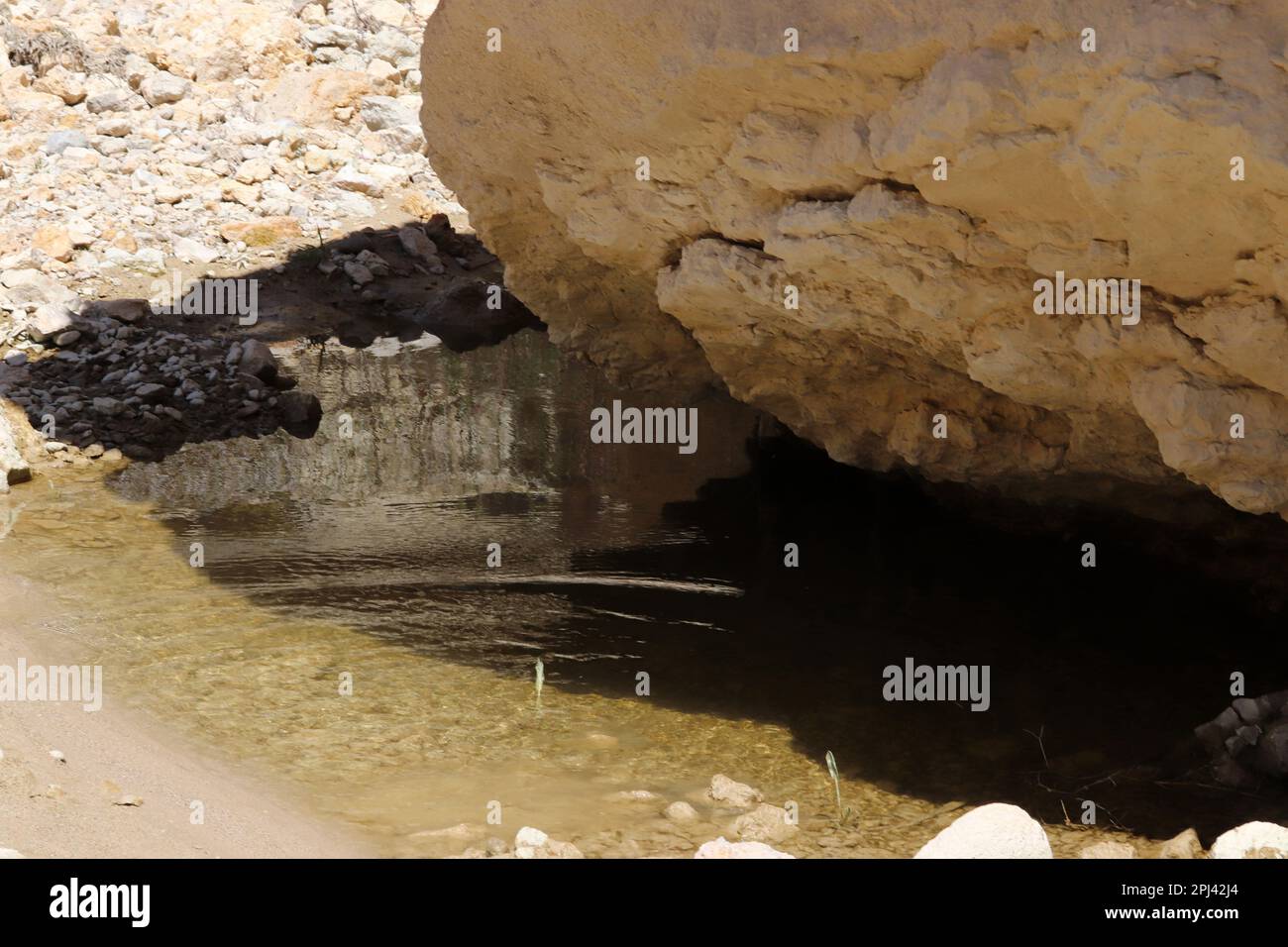 Rain water pond desert hi-res stock photography and images - Alamy