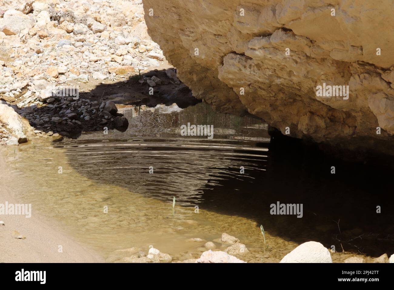Puddle of rain water. Still water Stock Photo - Alamy