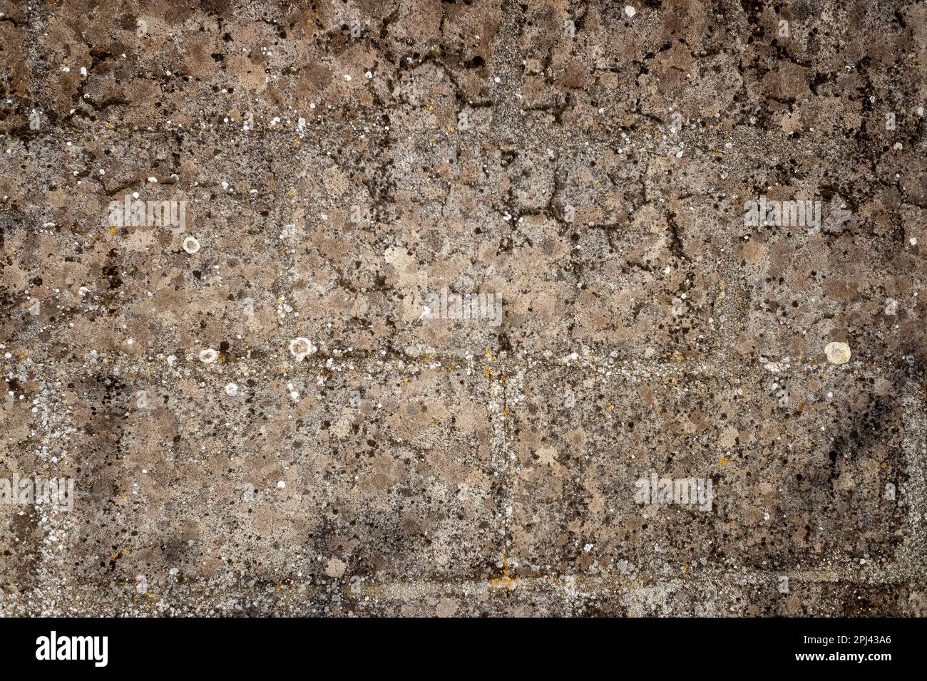 cement-covered wall weathered by time Stock Photo - Alamy
