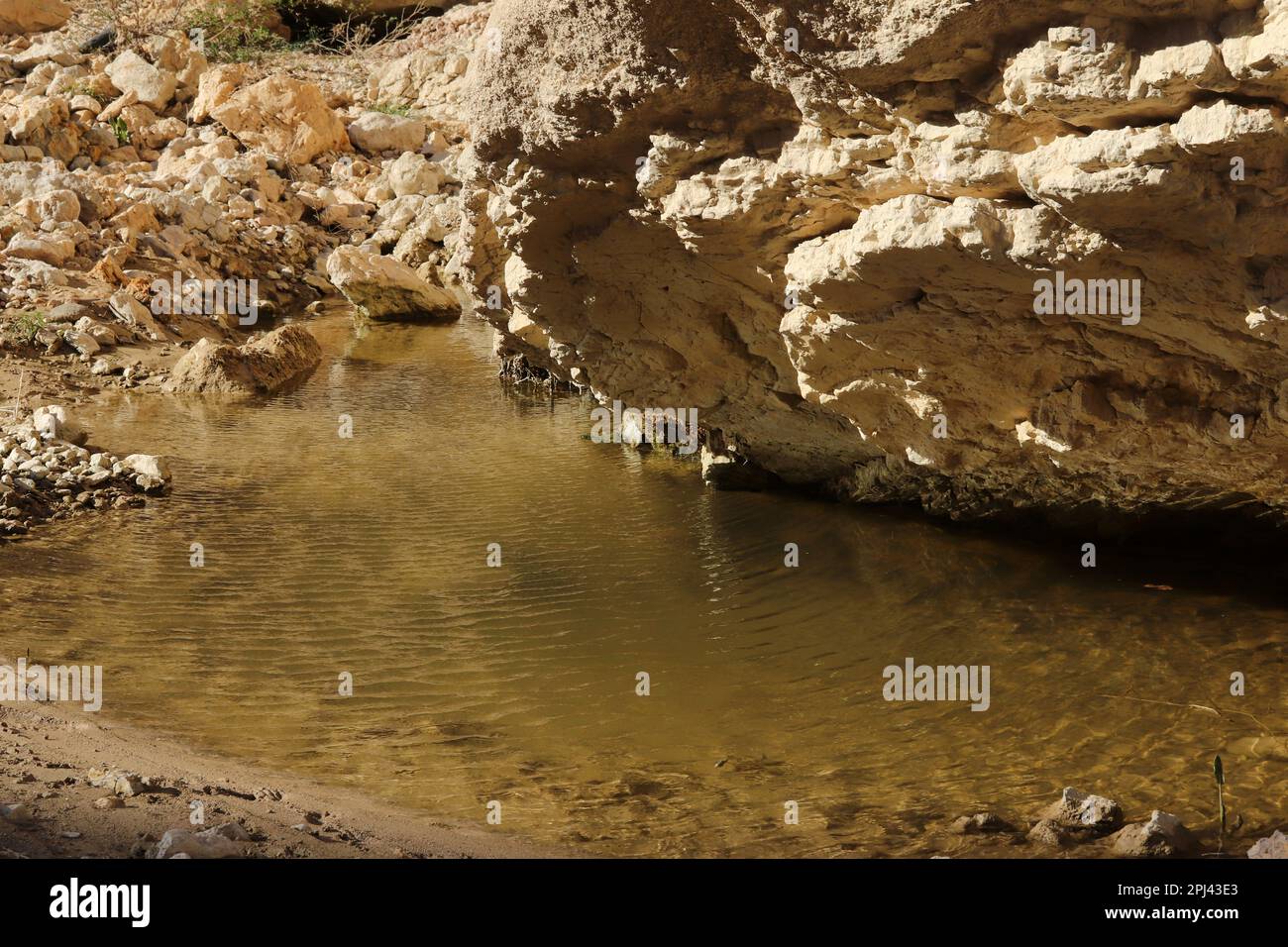 Puddle of rain water. Still water Stock Photo - Alamy