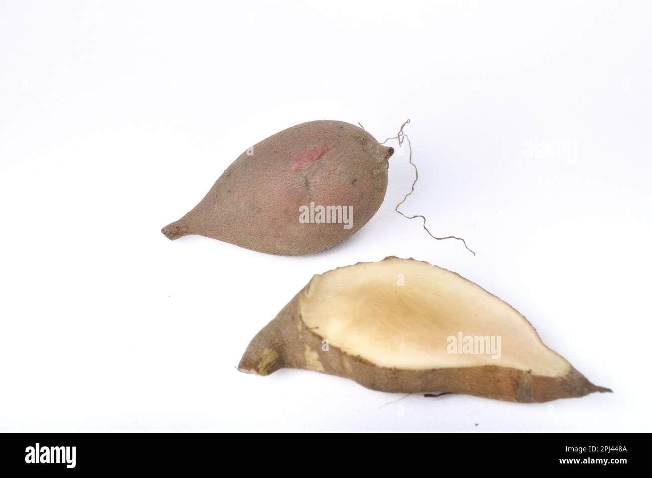 Yacon roots on a white background Stock Photo - Alamy