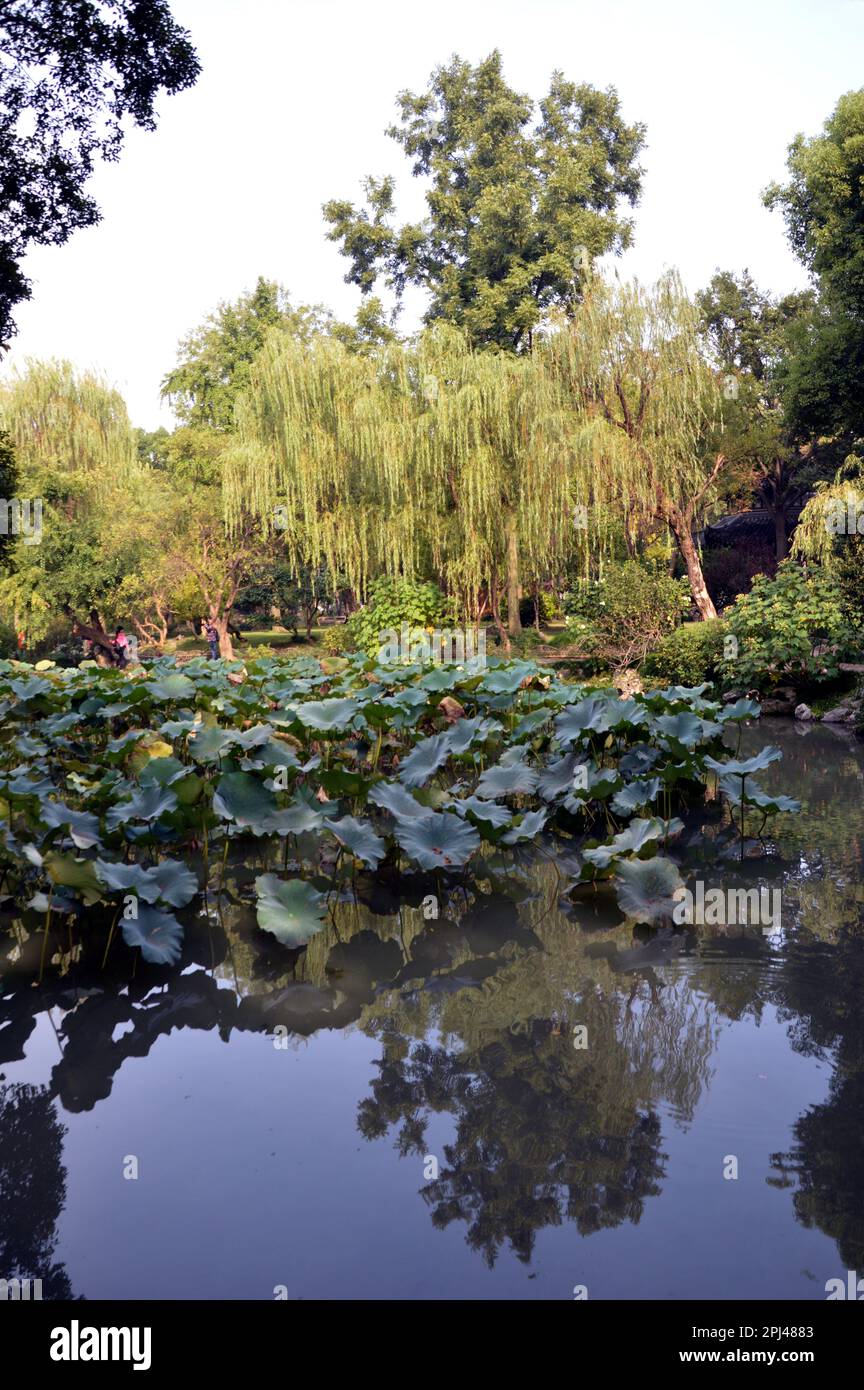People's Republic of China, Jiangsu Province, Suzhou: Garden of the ...