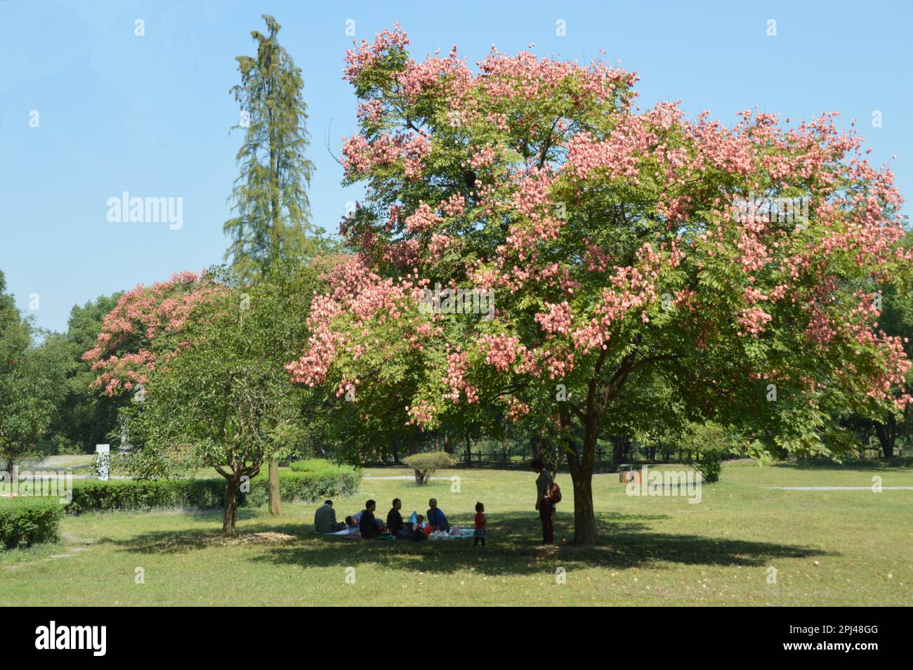 People's Republic of China, Guangxi Province: the Ling Canal., near ...