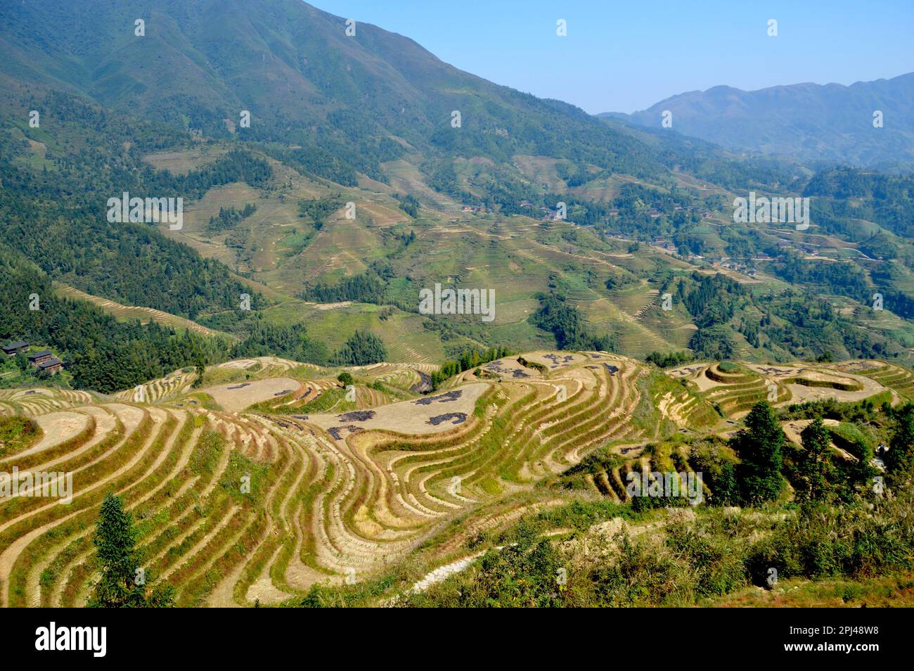 People's Republic of China, Guangxi Province, Longsheng: the "Dragon's ...
