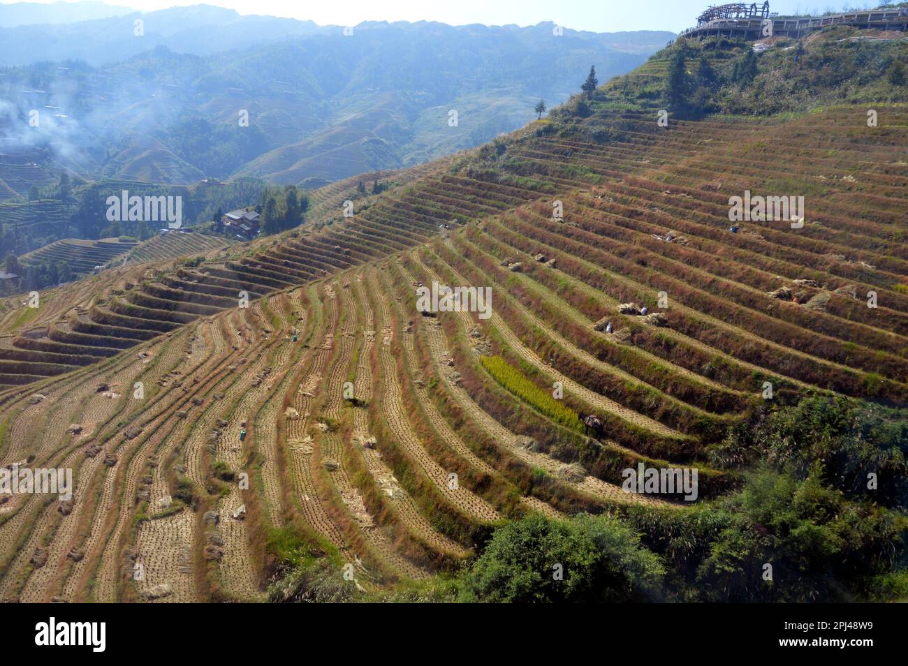 People's Republic of China, Guangxi Province, Longsheng: the "Dragon's ...