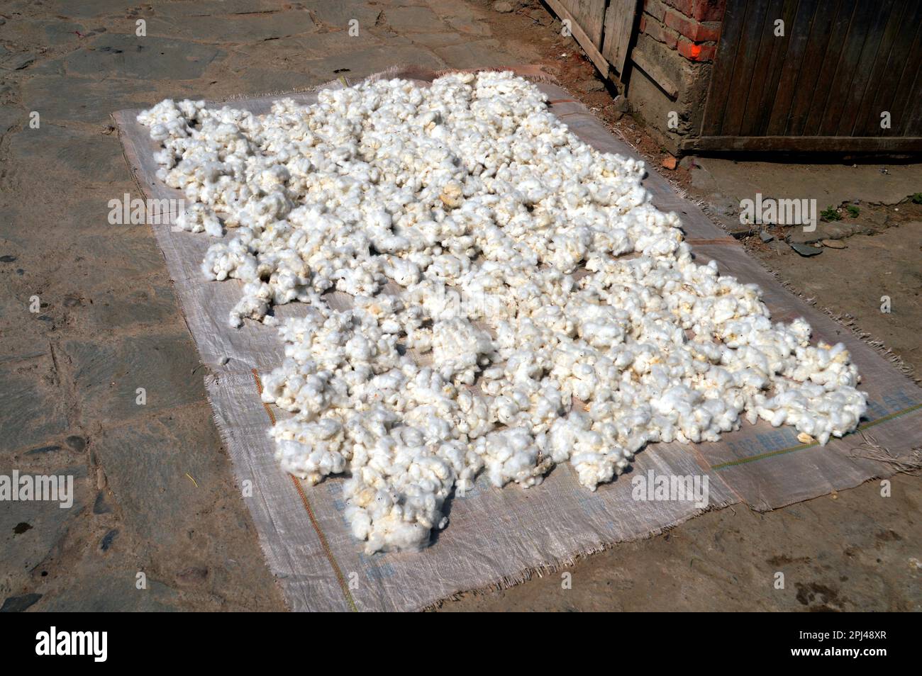People's Republic of China, Guangxi Province, Sanjiang County, Maan ...