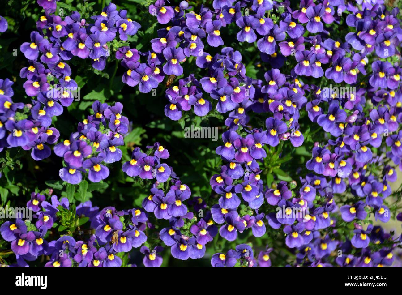 Germany, Bavaria, Bayreuth, Landesgartenschau 2016 (Garden Show): a ...