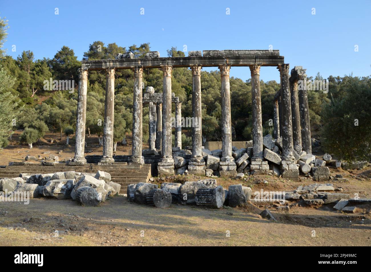 Turkey, Mugia Province, Euromos: a well preserved Roman Temple of Zeus ...