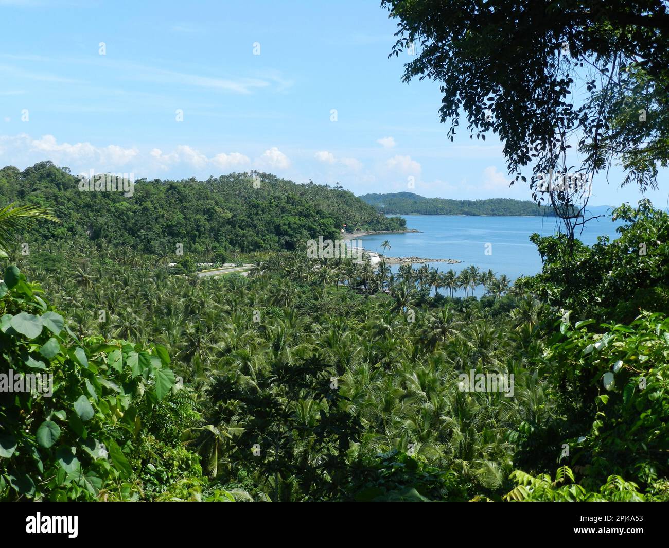 The Philippines, Samar Island: Malajog Ridge Nature Reserve: view along ...