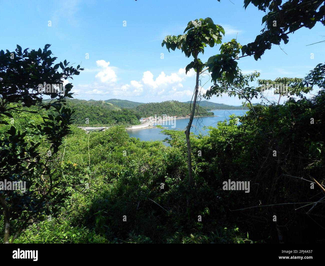 The Philippines, Samar Island: Malajog Ridge Nature Reserve: view along ...