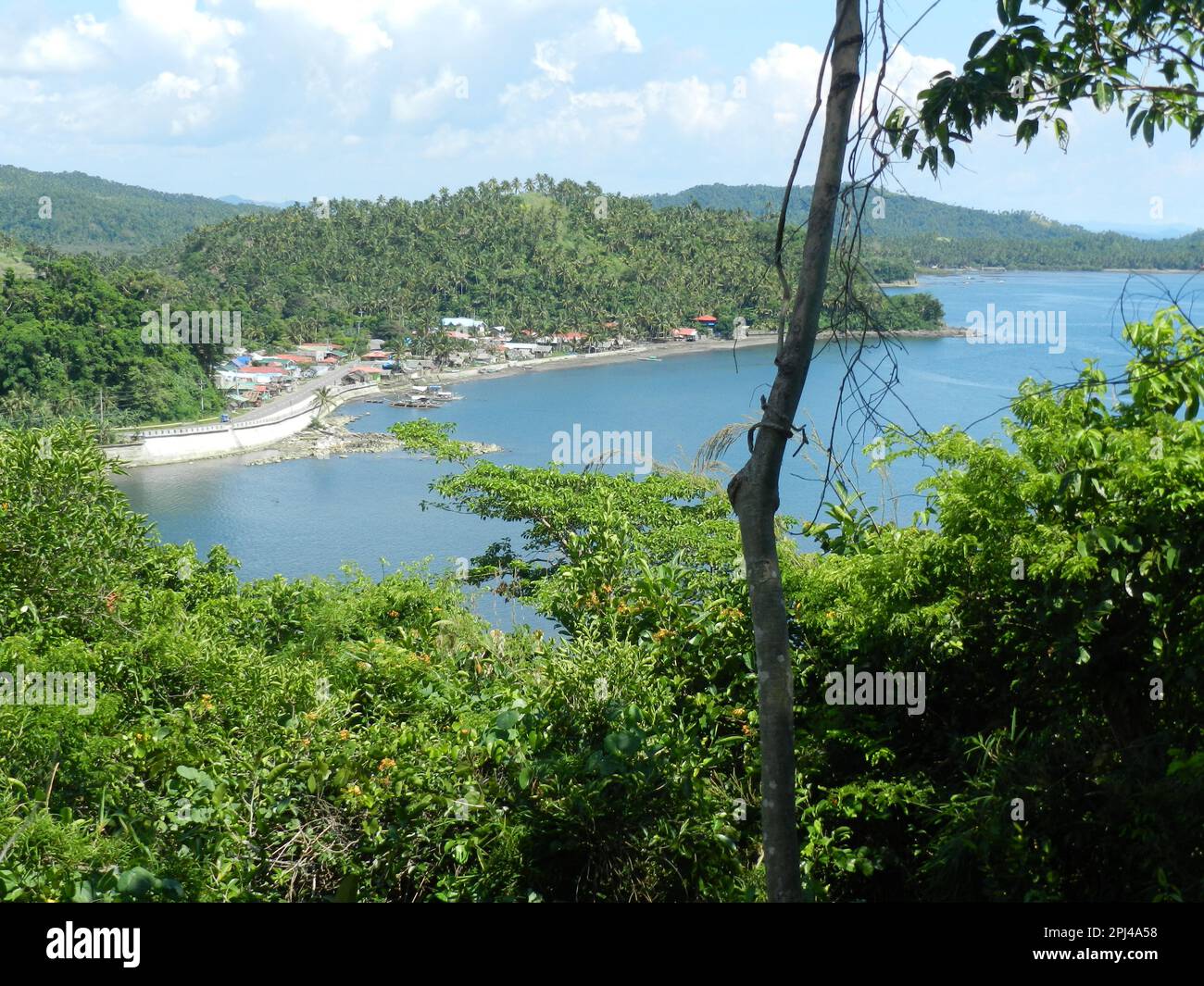 The Philippines, Samar Island: Malajog Ridge Nature Reserve: view along ...