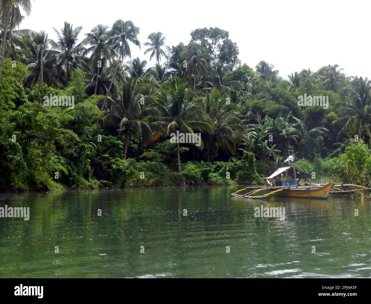 The Philippines, Samar Island: local outrigger trading boat, with dense ...