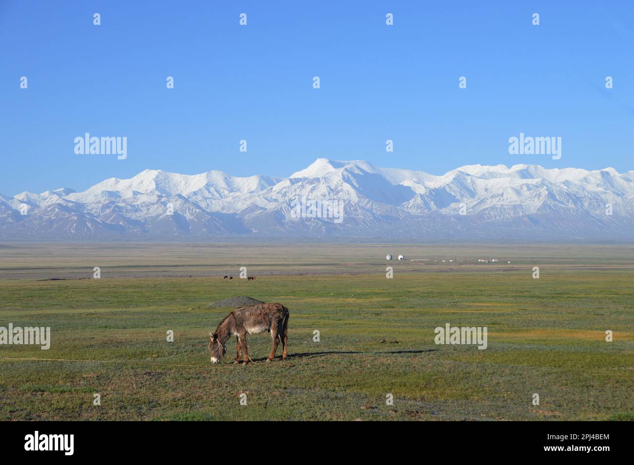 Kyrgyzstan, Osh Oblast (Province), Sary-Tash: view of the snow covered ...